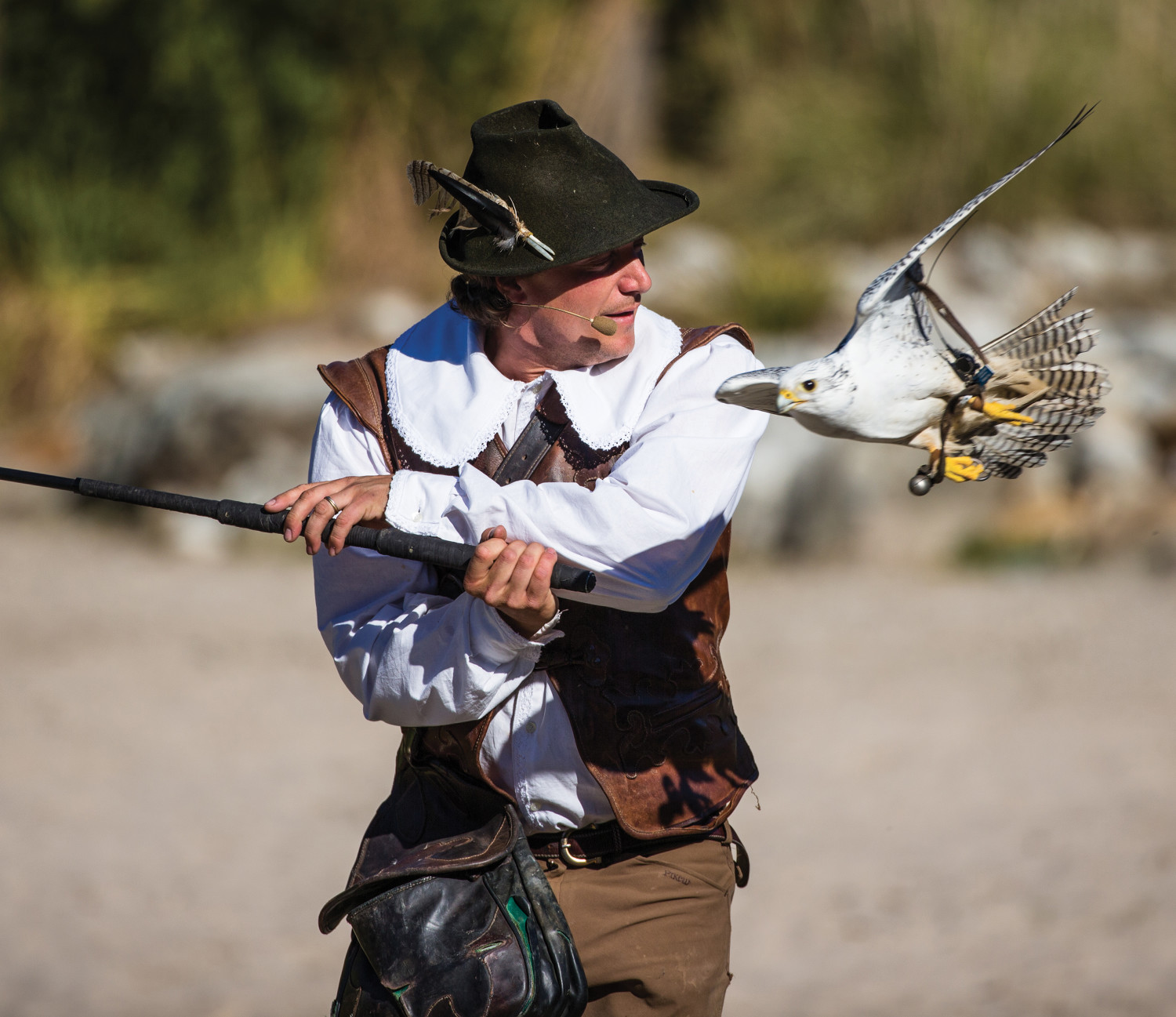 Falconeria Locarno – Experience the world of birds of prey