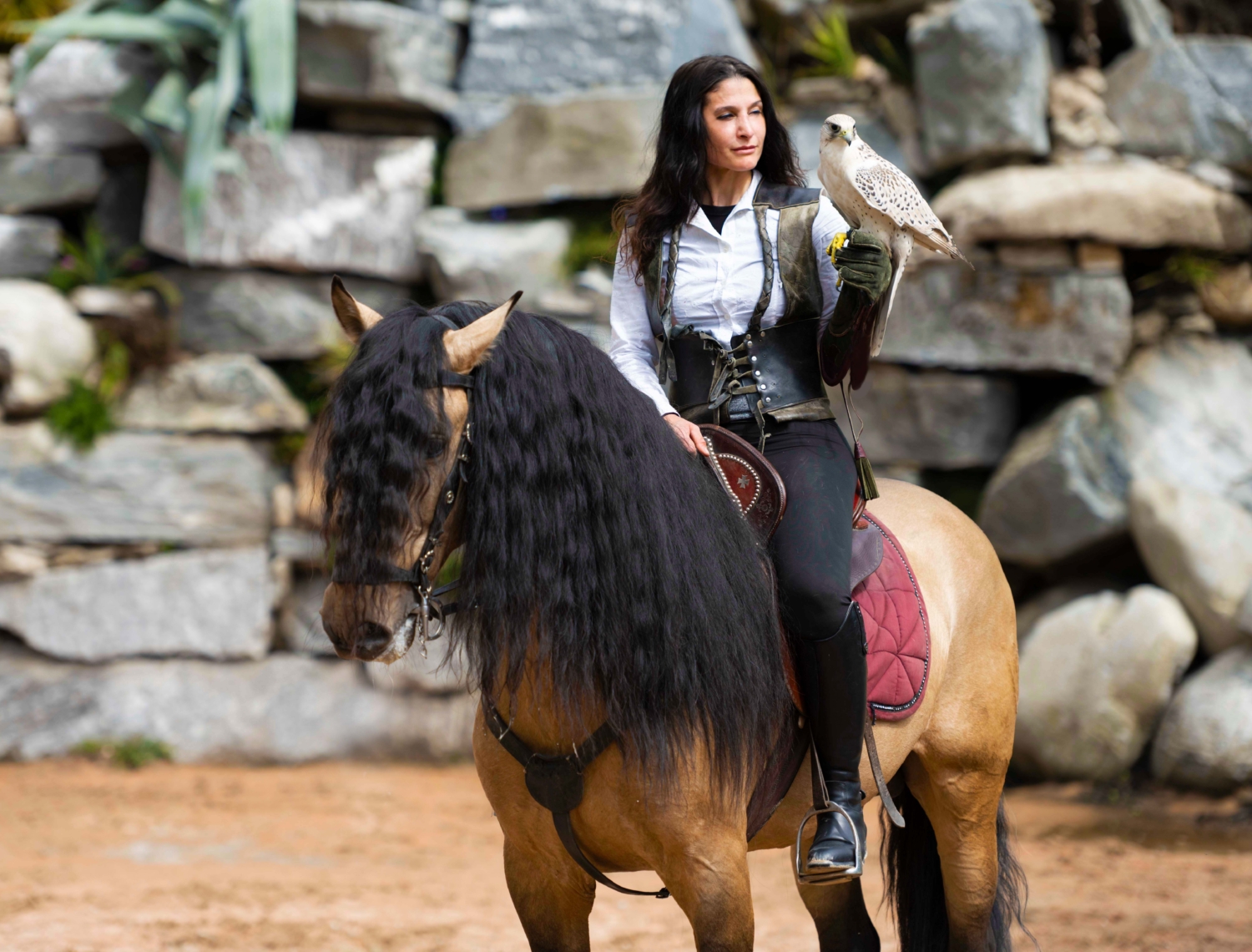 Falconeria Locarno – Experience the world of birds of prey